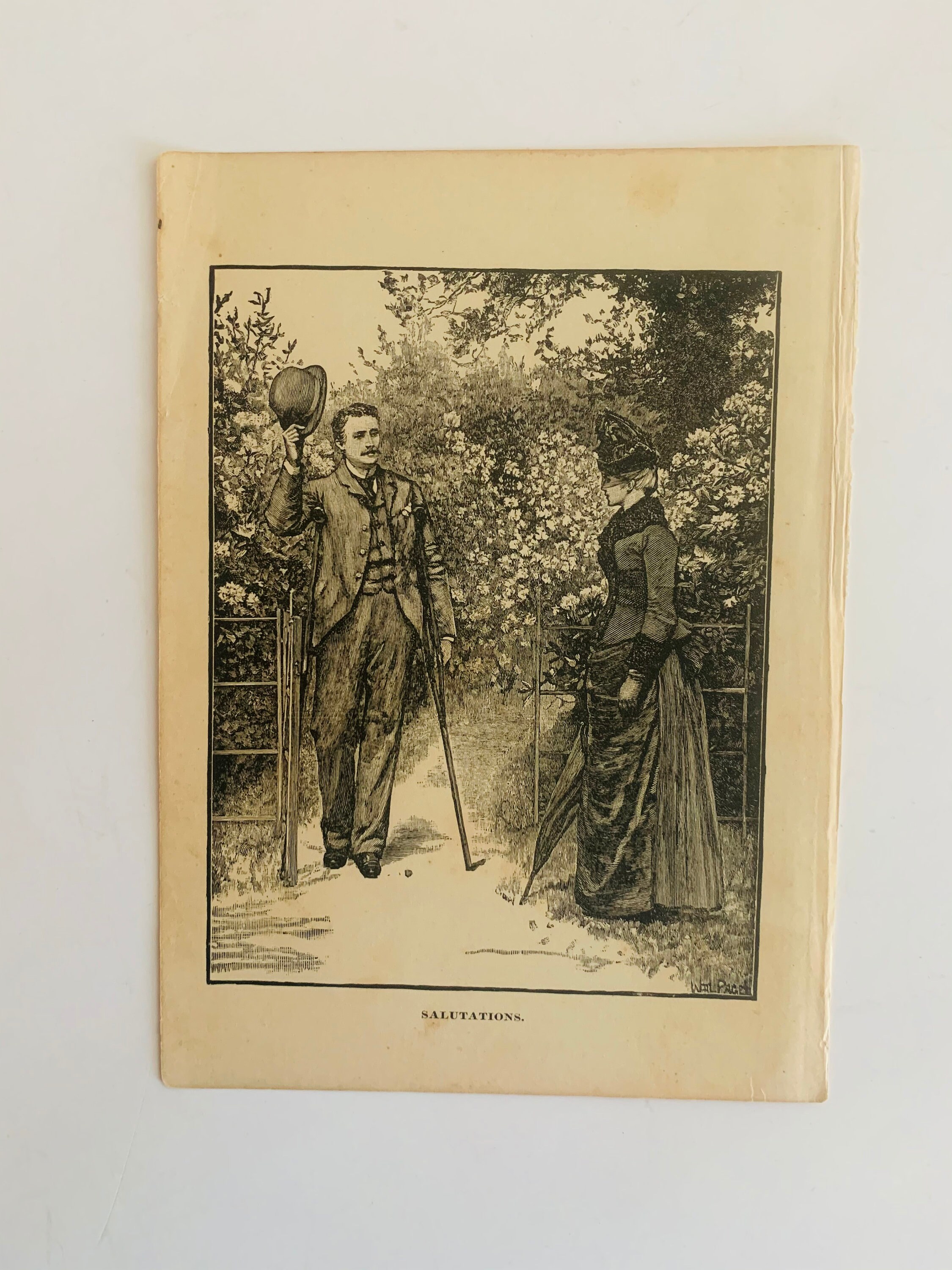 Collection of Antique Book Page Prints | Etsy