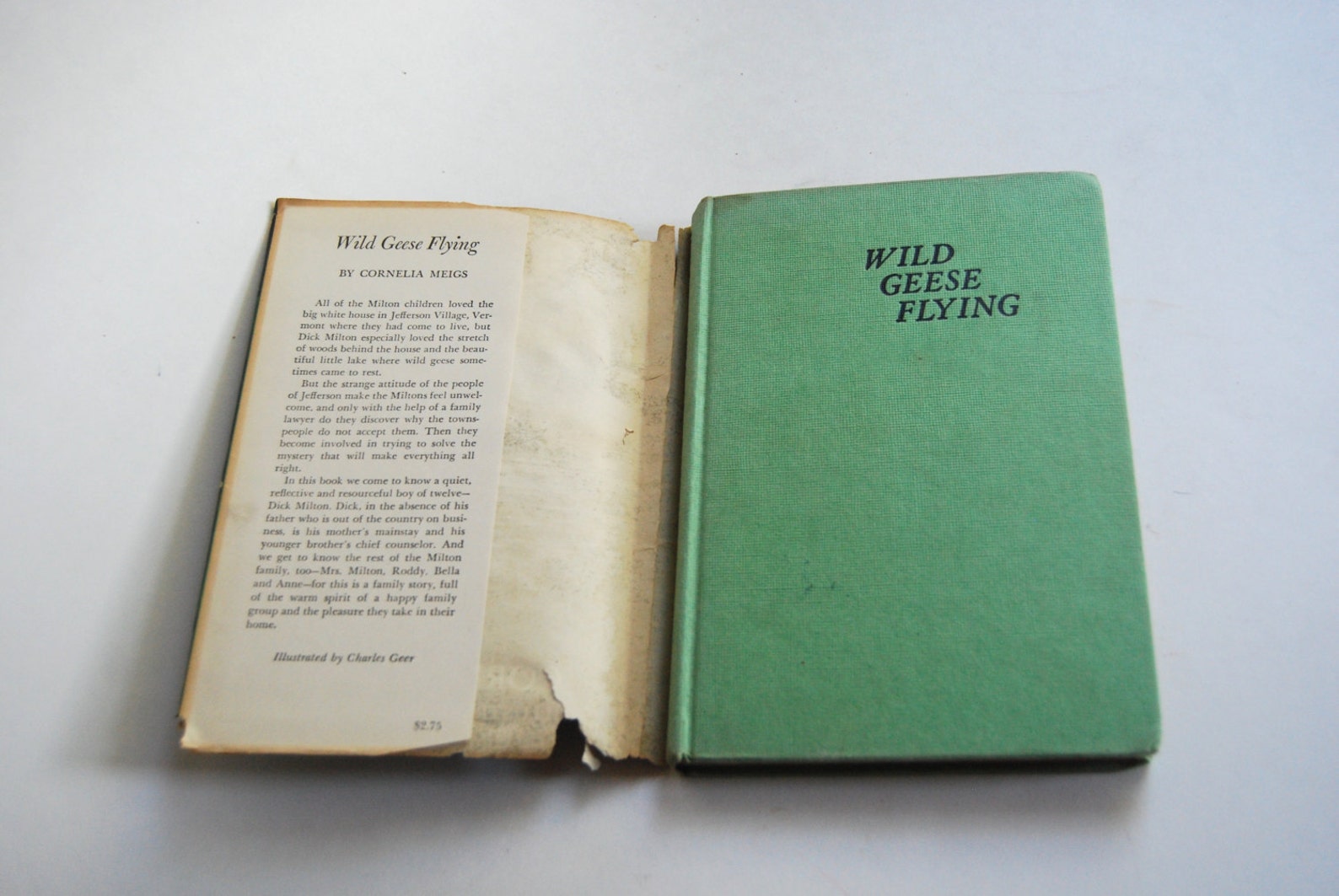 Vintage Children's Book Wild Geese Flying | Etsy