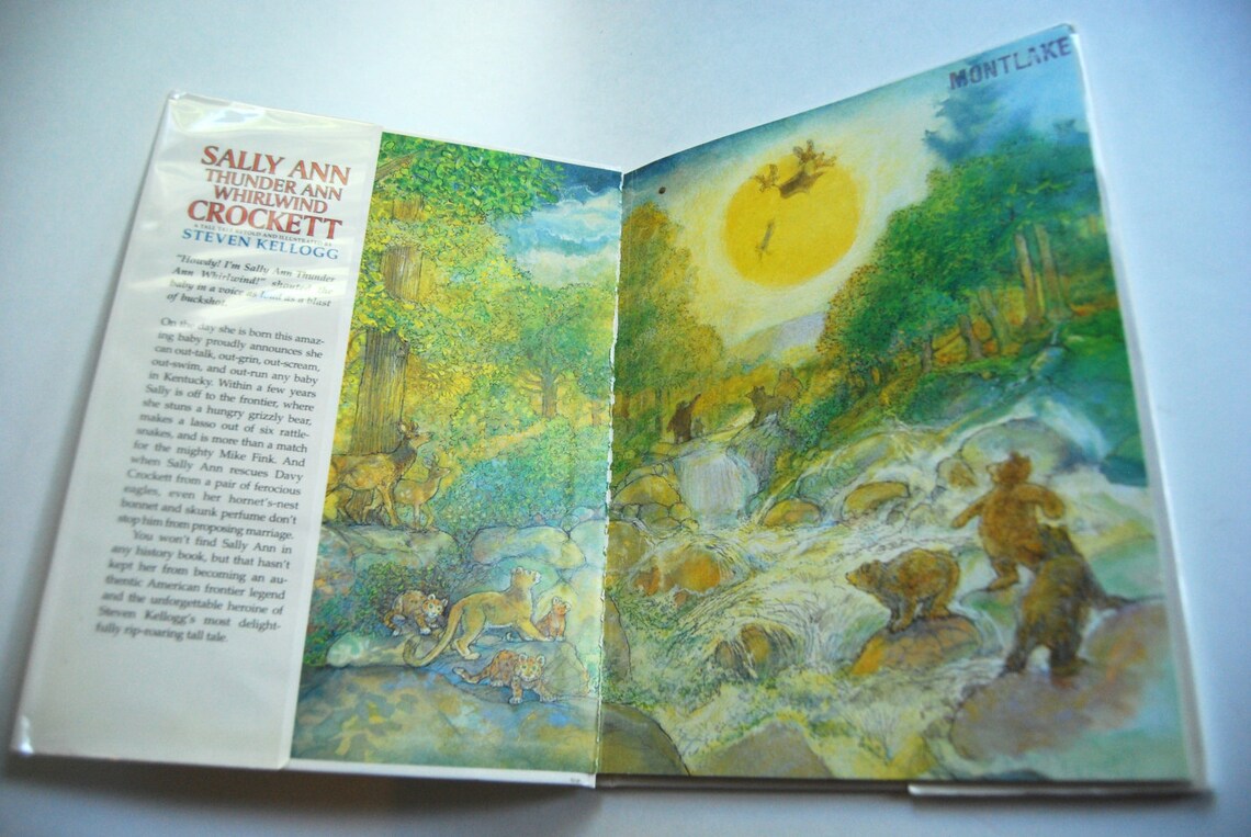 Vintage Children's Book Sally Ann Thunder Ann Whirlwind - Etsy