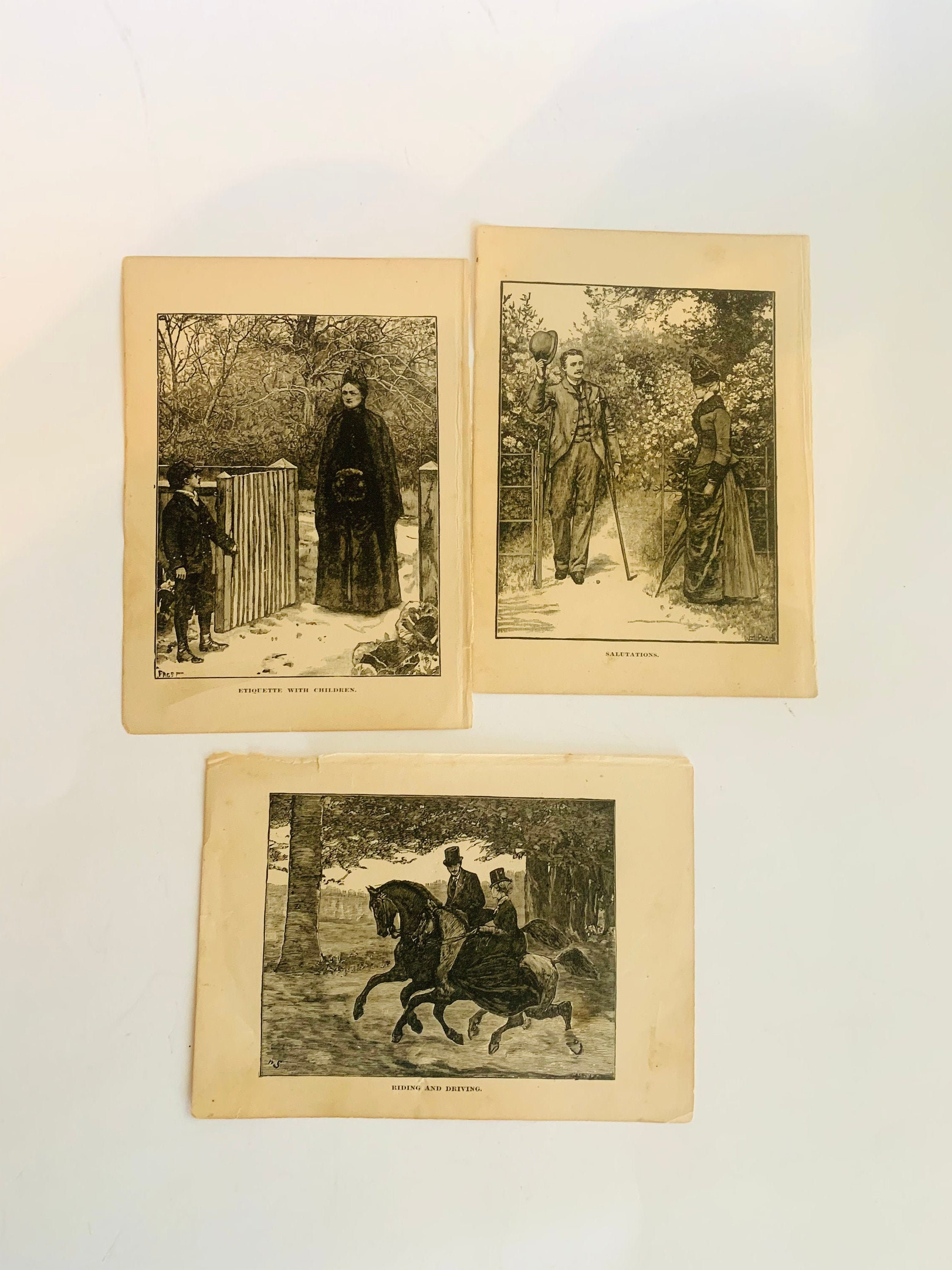 Collection of Antique Book Page Prints - Etsy