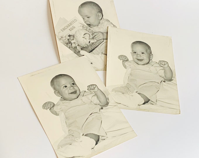 The Enchanted Egg by Peggy Burrows Illustrated by Elizabeth Webbe ...