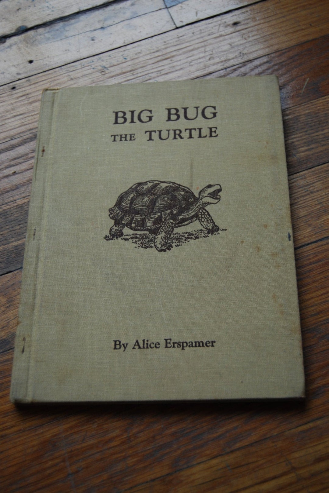Vintage Children's Book, Big Bug the Turtle, Signed by Author, First ...