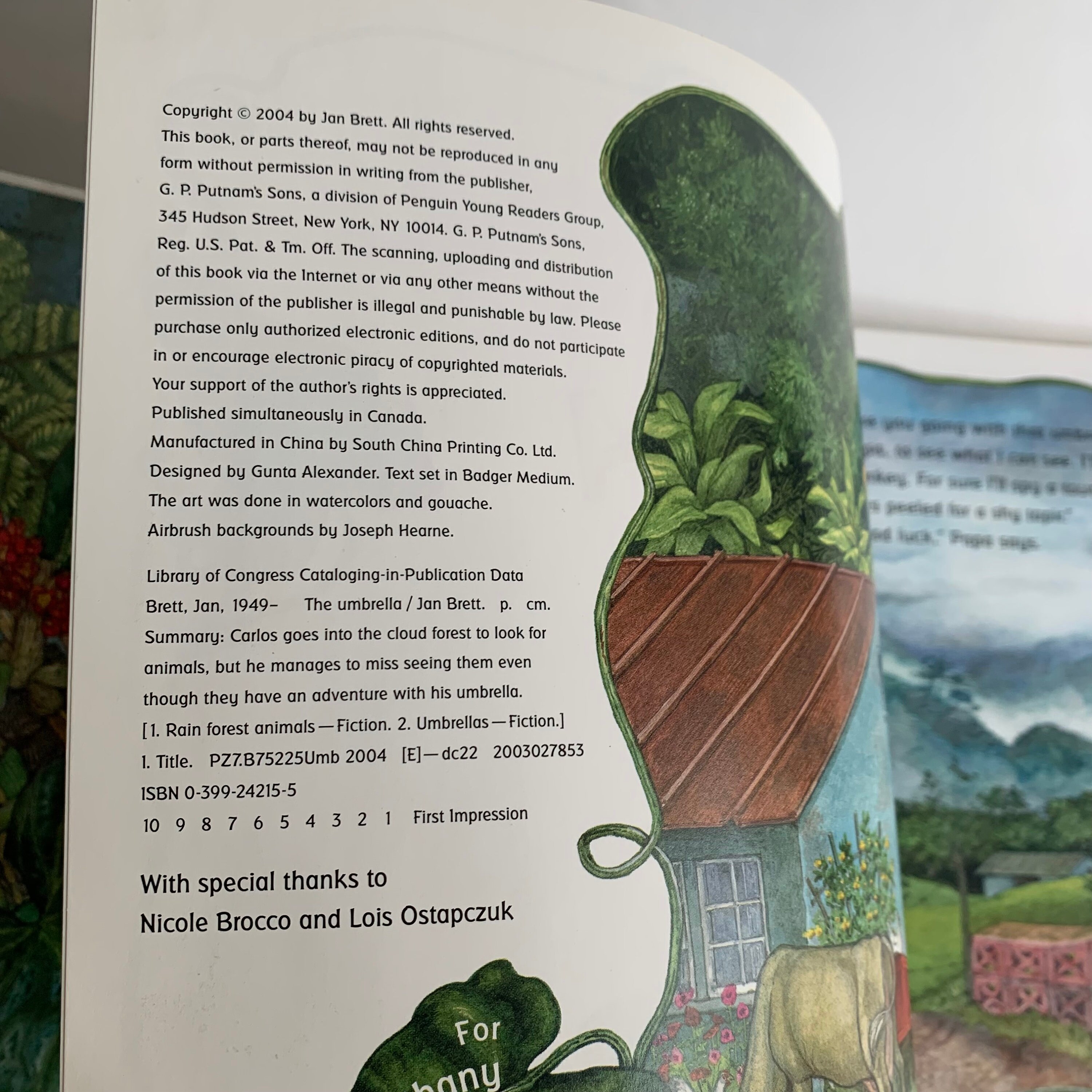 Vintage Children's Book, the Umbrella, First Impression - Etsy