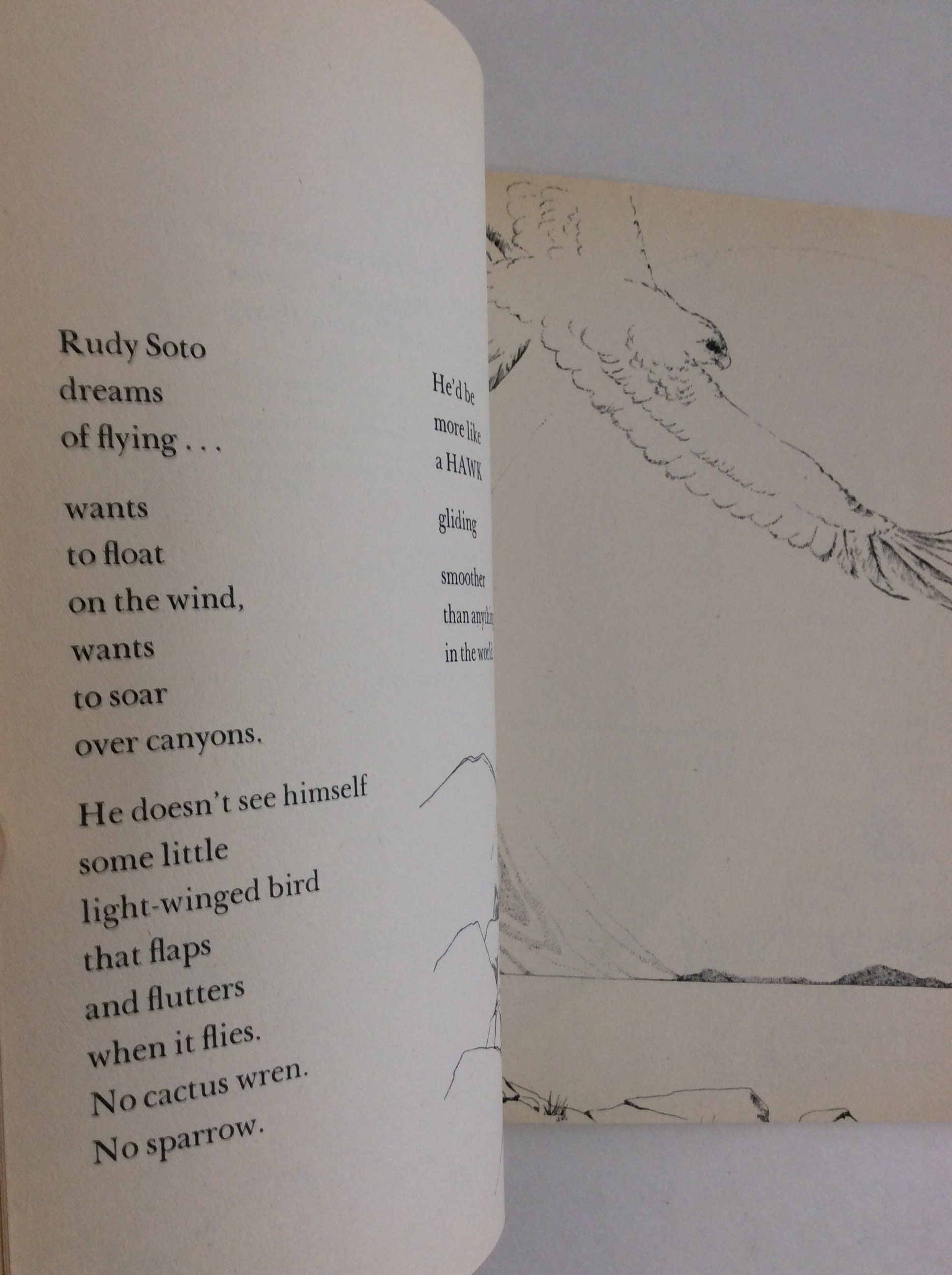 Vintage Children's Book Hawk I'm Your Brother | Etsy