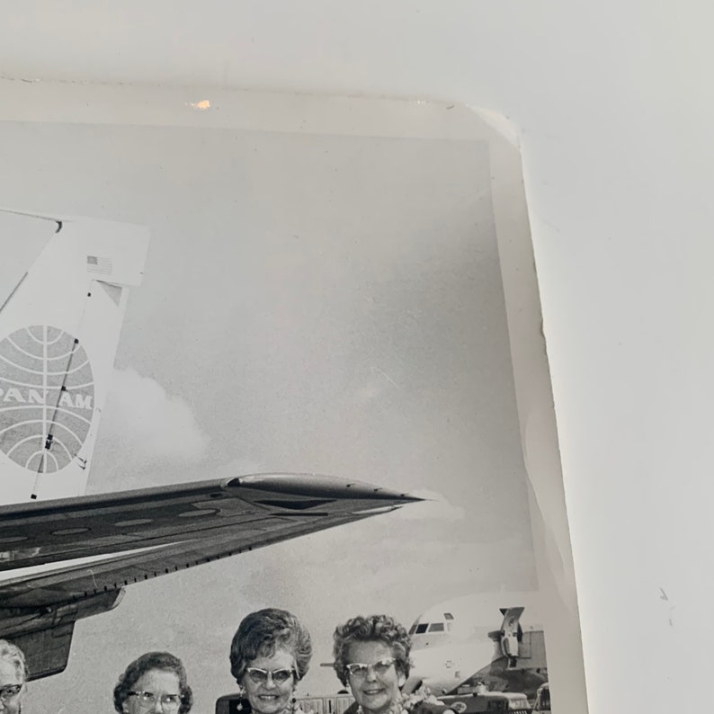 Vintage Panam Daughters of the Nile Posed Portrait Black and - Etsy