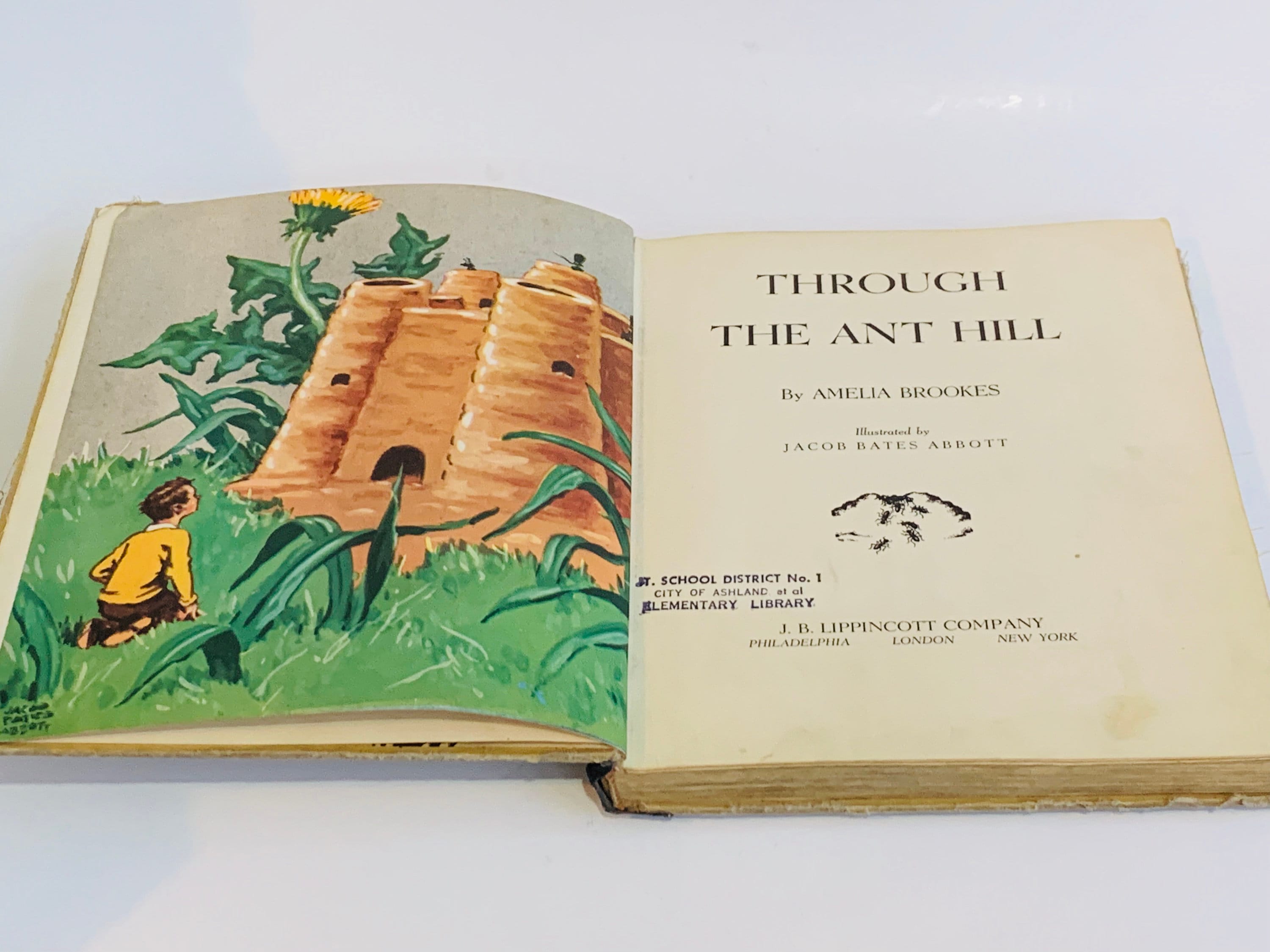 Vintage Children's Book Through the Ant Hill Rare Title | Etsy