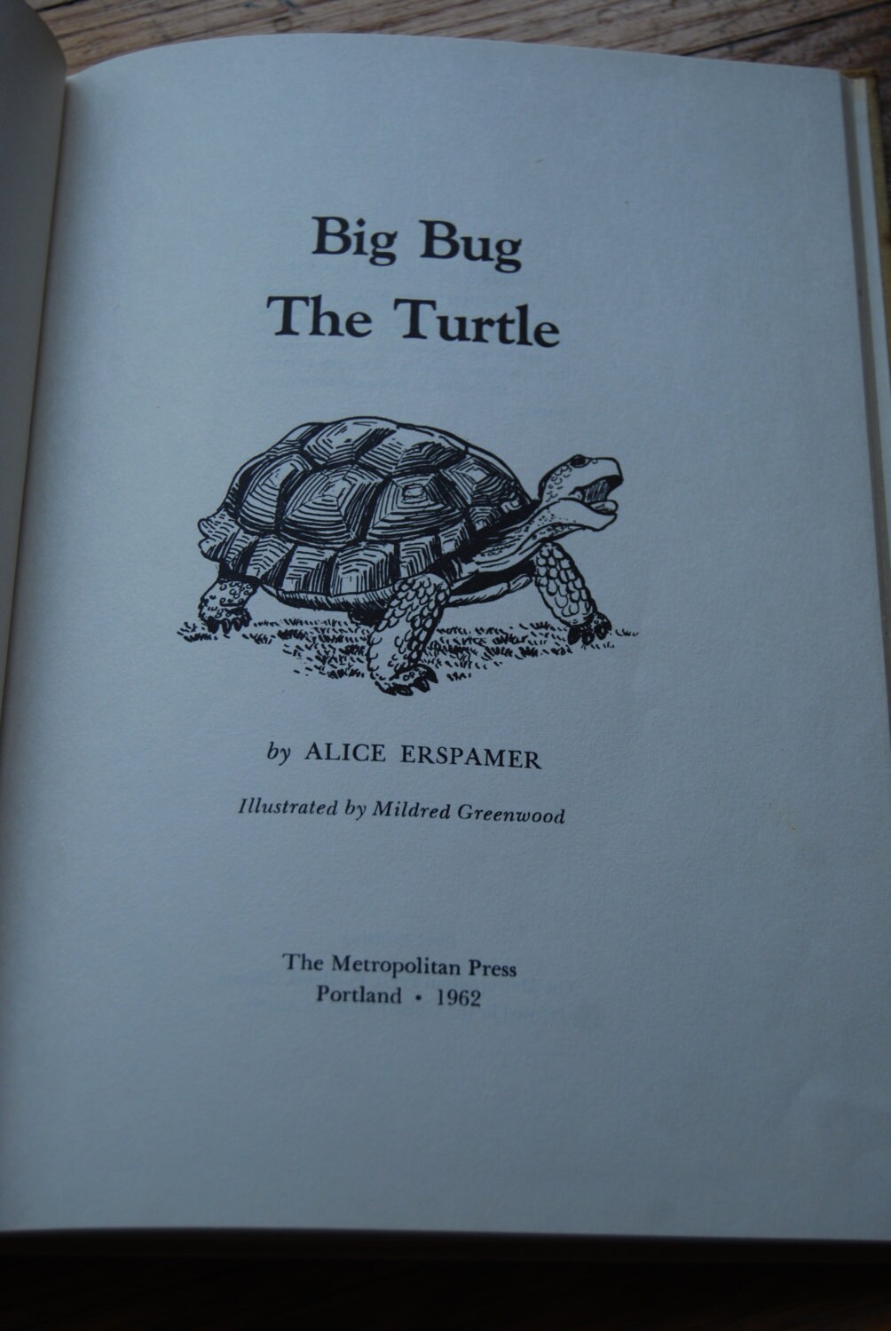 Vintage Children's Book, Big Bug the Turtle, Signed by Author, First ...