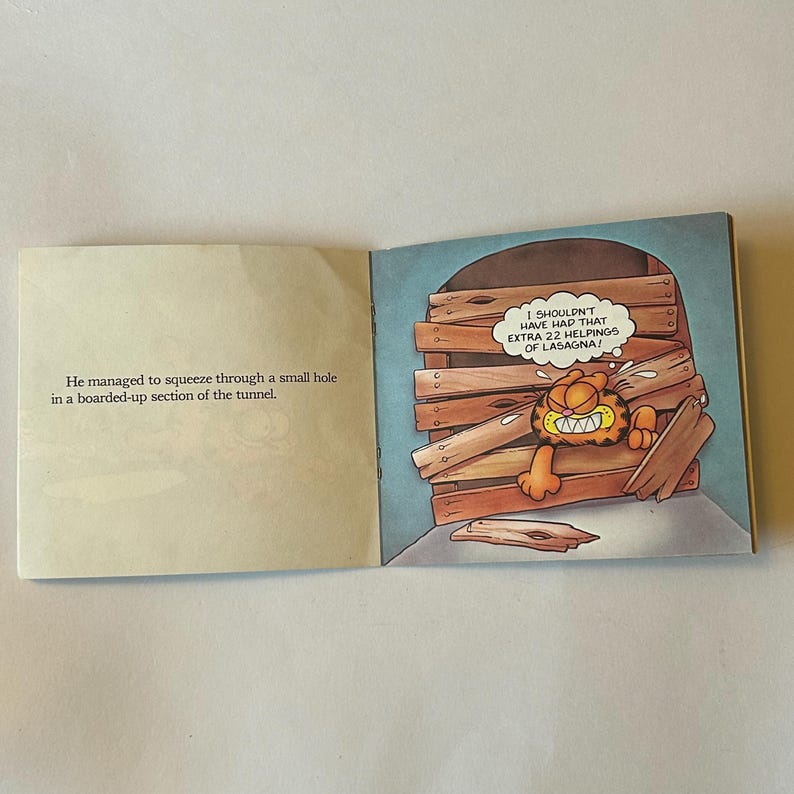 Vintage Children's Book, Garfield Goes Underground - Etsy