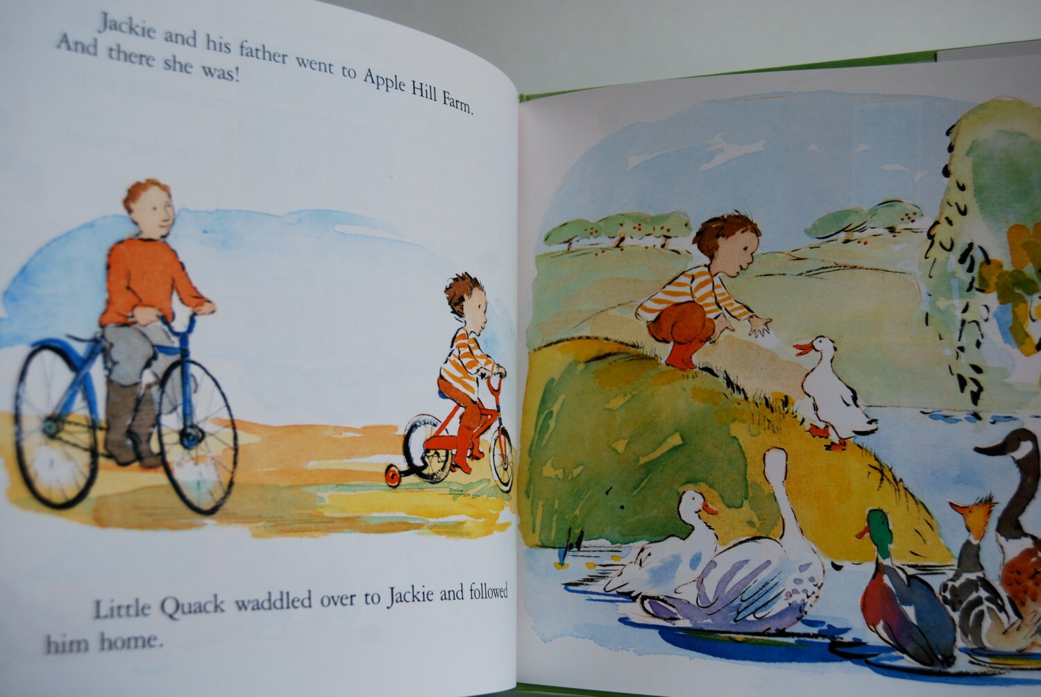 Vintage Children's Book the Story of Little Quack First | Etsy