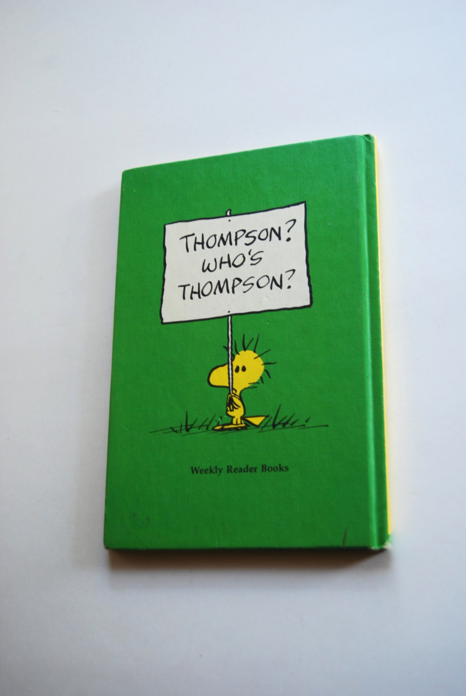 Vintage Book Thompson is in Trouble Charlie Brown - Etsy