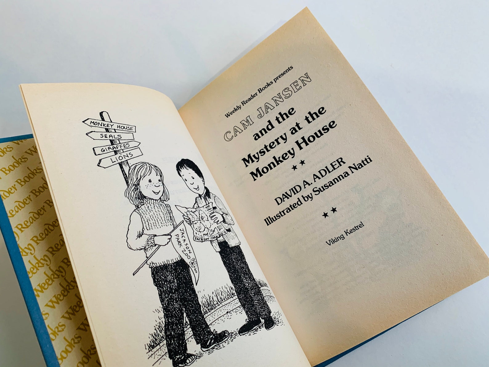 Vintage Children's Book Cam Jansen and the Mystery at the | Etsy