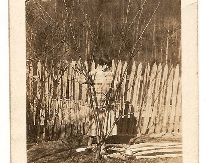 Ruby Eversole Looking Through the Fruit Trees, Vintage Kentucky ...