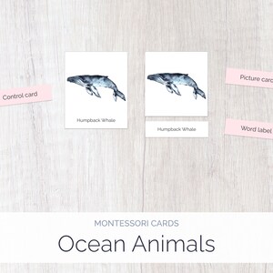 Ocean Animals Montessori Cards Montessori Education Homeschool - Etsy