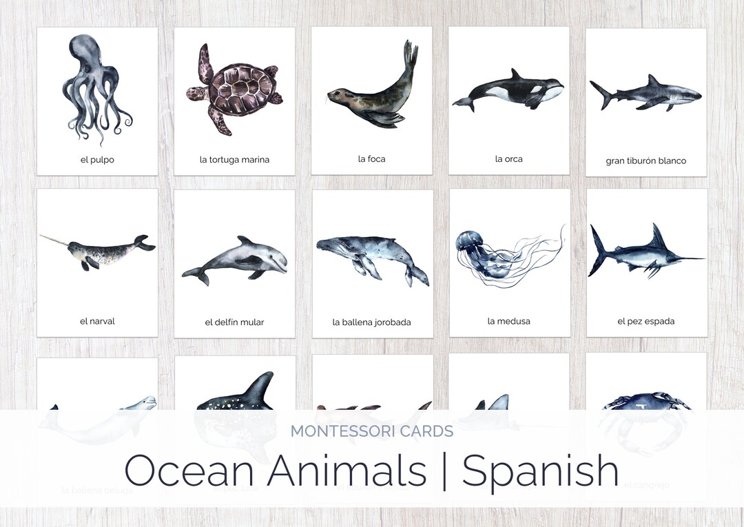 Ocean Animals | Spanish | Montessori Cards | Montessori Education ...