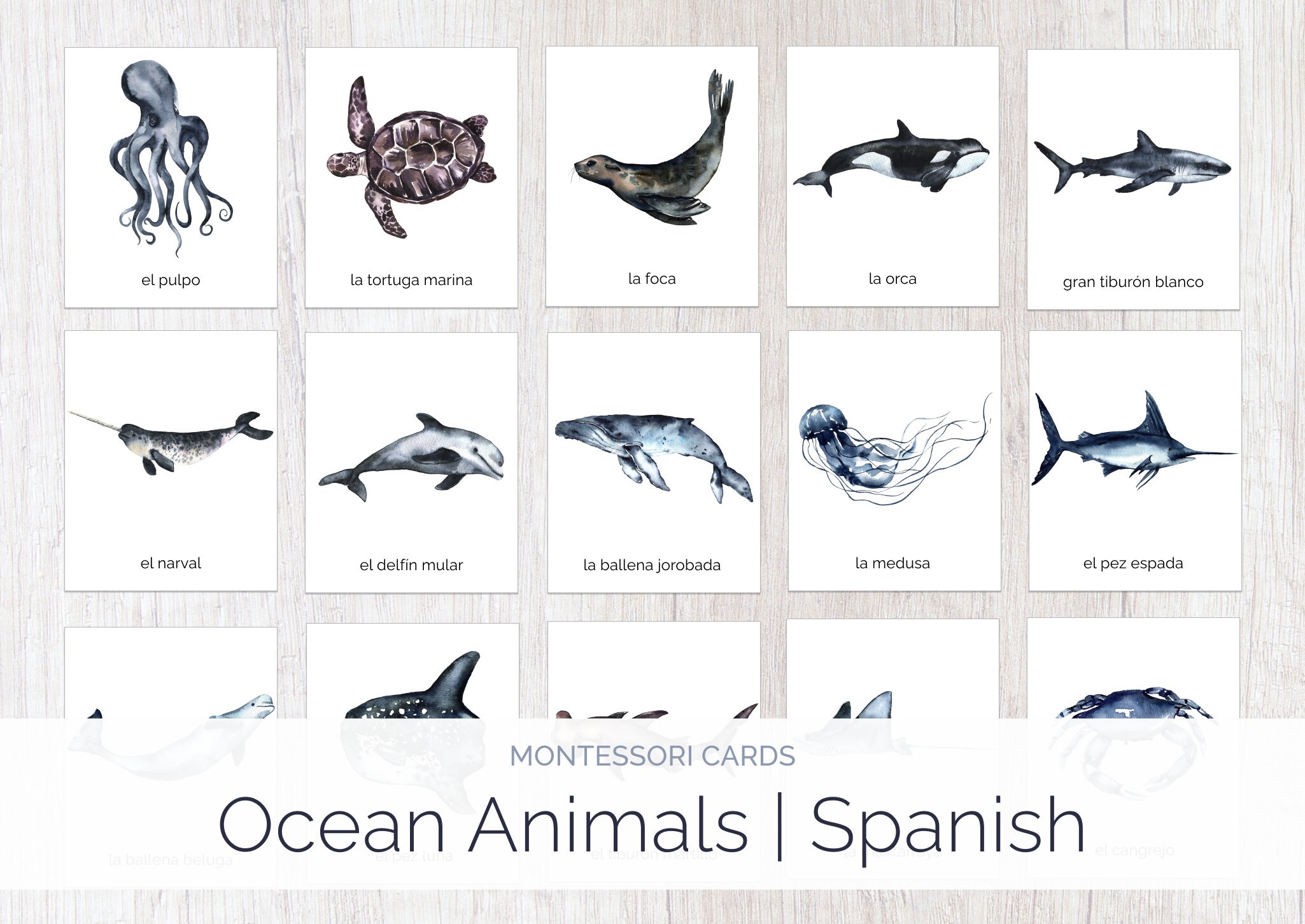 Ocean Animals | Spanish | Montessori Cards | Montessori Education ...