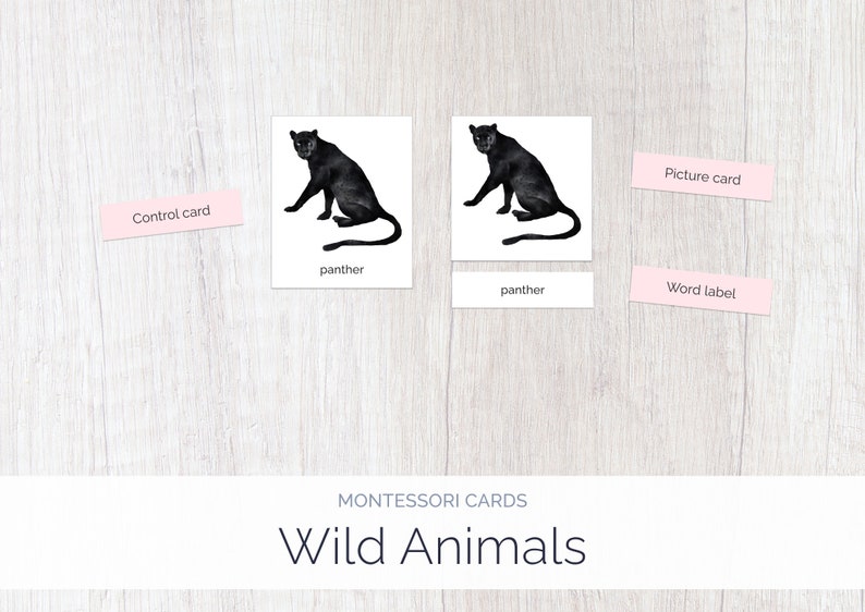 Wild Animals Montessori Cards Safari Animals Montessori Education ...