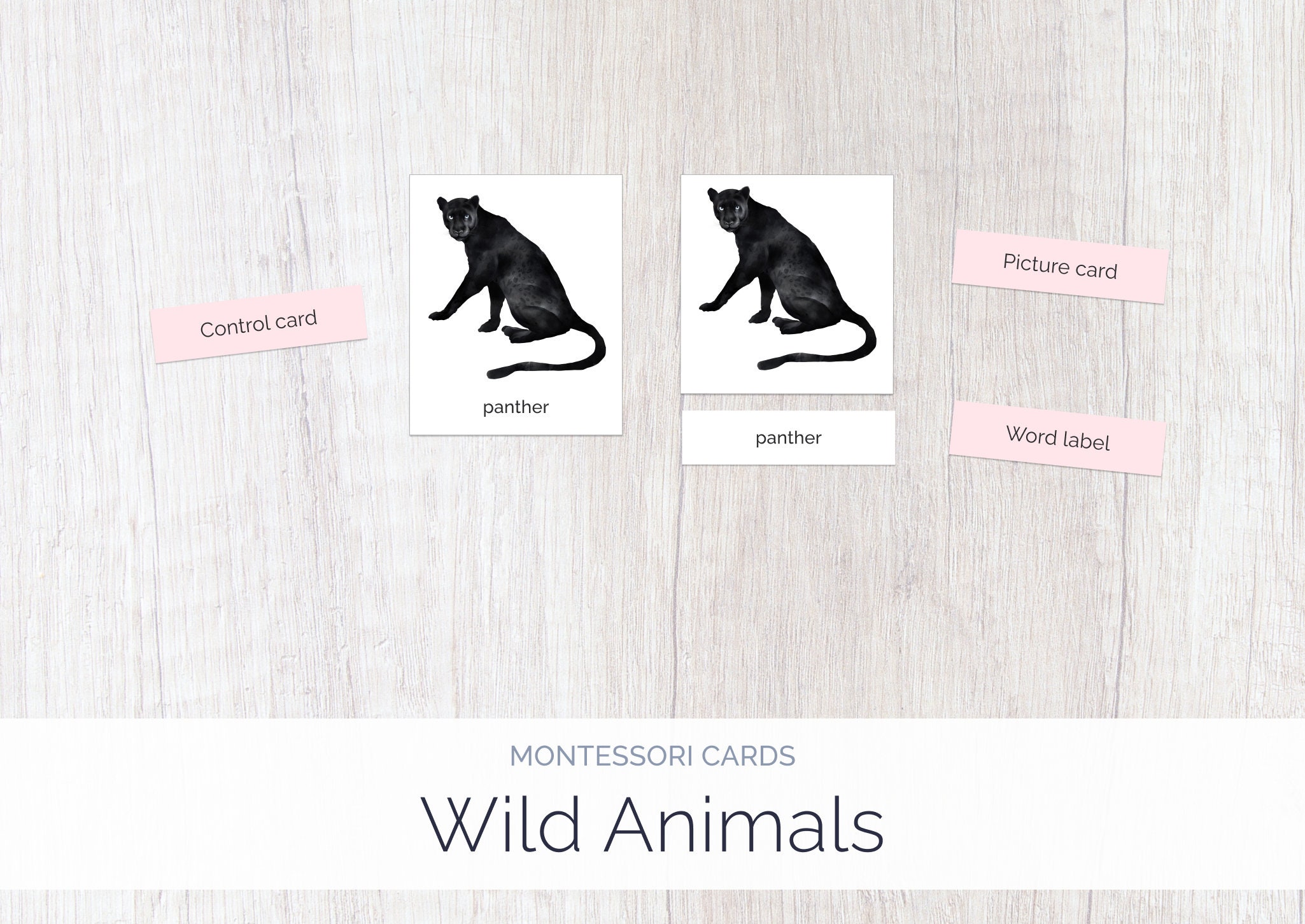 Wild Animals Montessori Cards: Safari Animal Flashcards (PDF Pattern ...