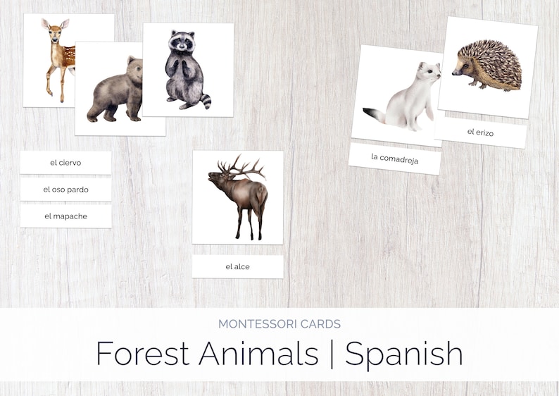 Spanish Woodland Animals Montessori Cards (PDF Pattern) - Etsy