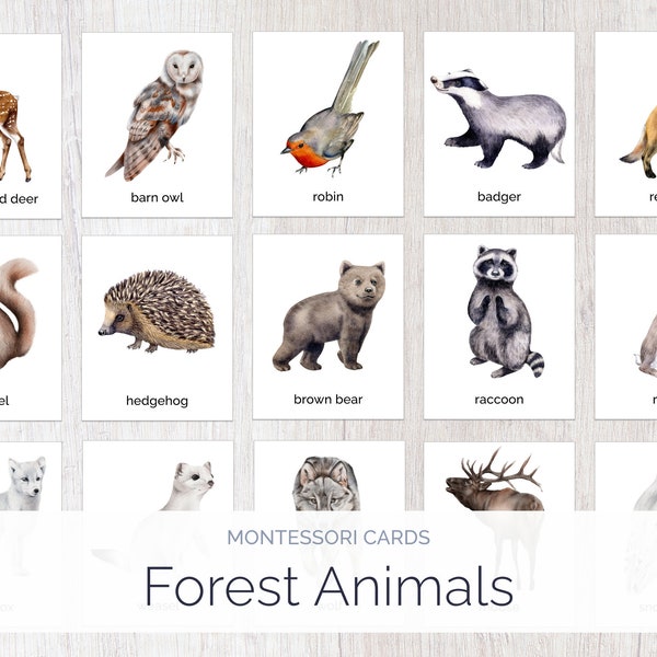 Forest Animal - Etsy