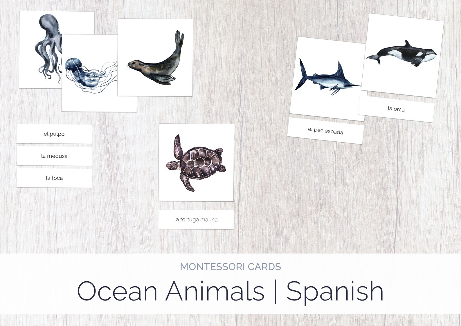 Ocean Animals Spanish Montessori Cards Montessori Education Homeschool ...