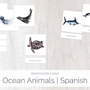 Ocean Animals Spanish Montessori Cards Montessori Education Homeschool ...