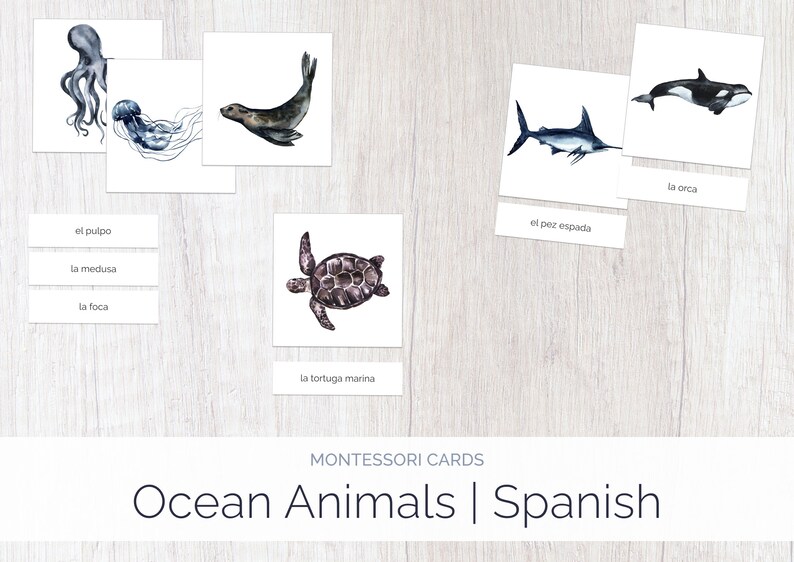 Ocean Animals | Spanish | Montessori Cards | Montessori Education ...