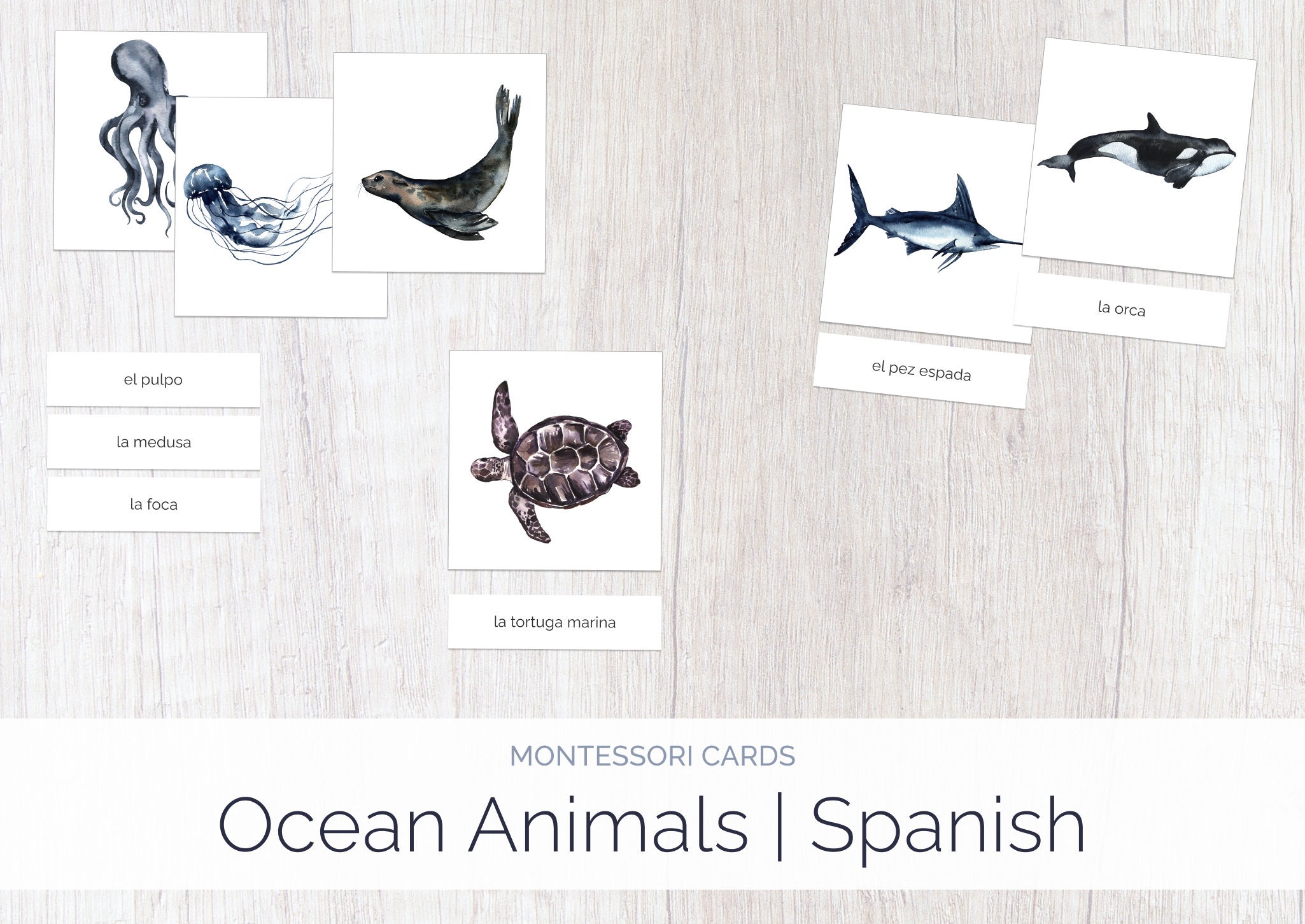 Ocean Animals Spanish Montessori Cards Montessori Education Homeschool ...