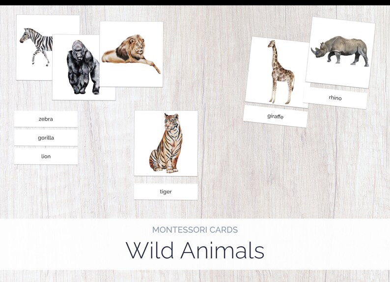 Wild Animals Montessori Cards Safari Animals Montessori Education ...