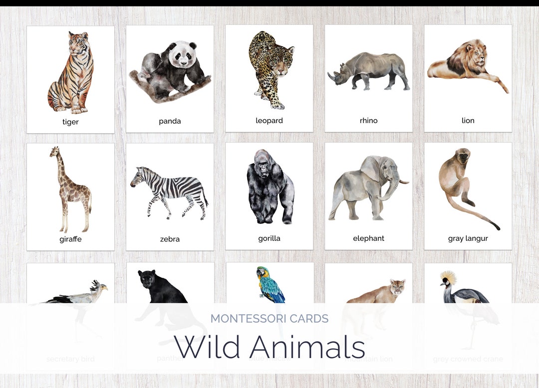 Wild Animals Montessori Cards: Safari Animal Flashcards (PDF Pattern ...