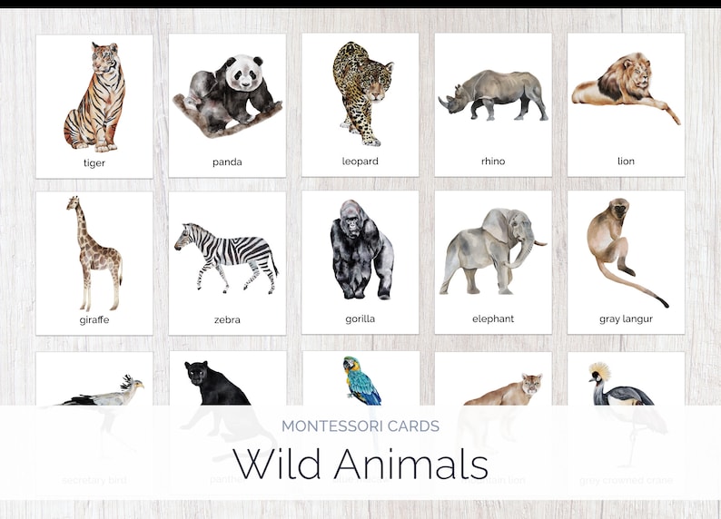 Wild Animals Montessori Cards Safari Animals Montessori Education ...