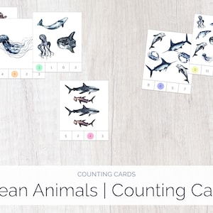 Ocean Animals Count & Clip Cards Montessori Education Homeschool - Etsy