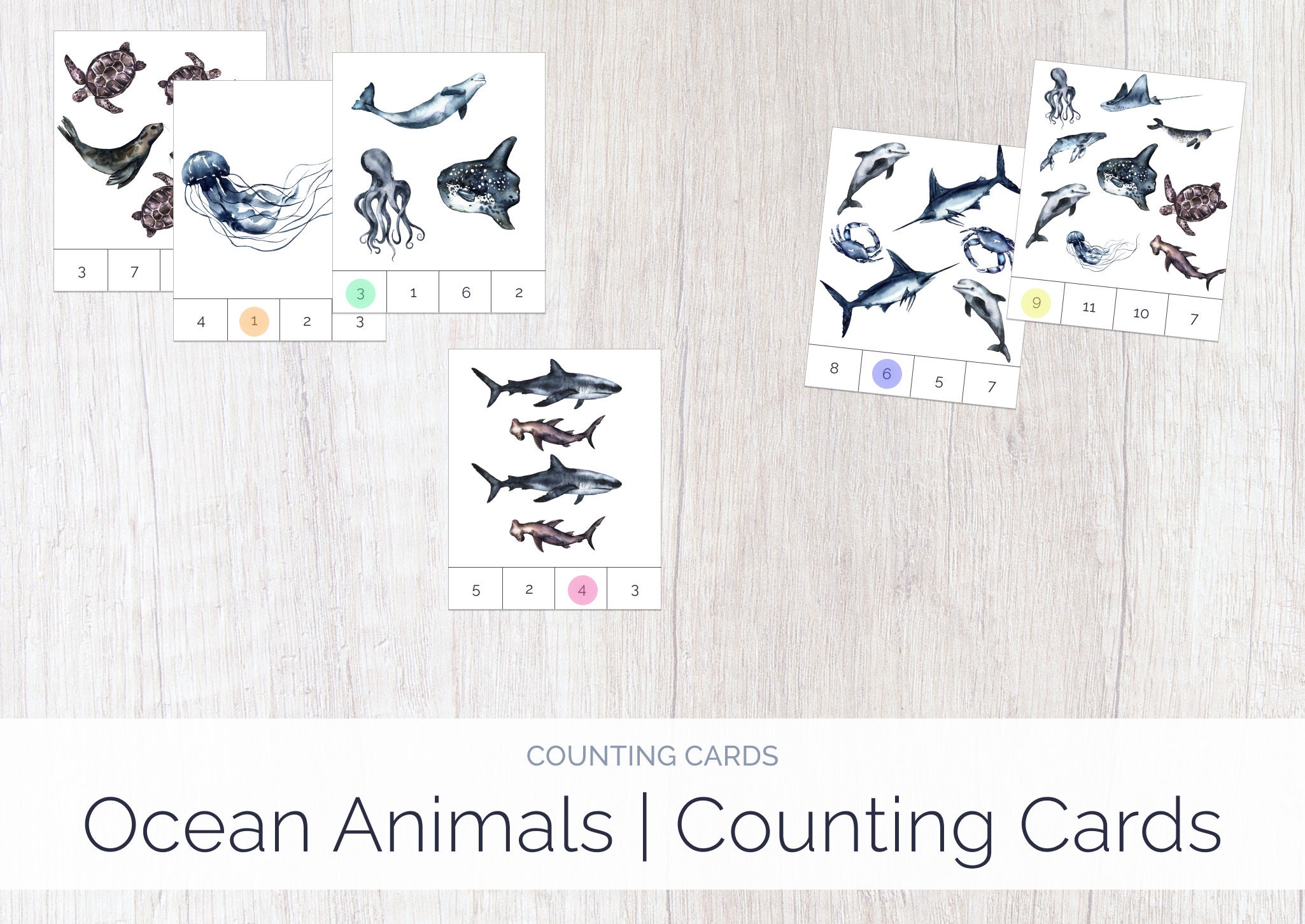 Ocean Animals Count & Clip Cards Montessori Education Homeschool - Etsy