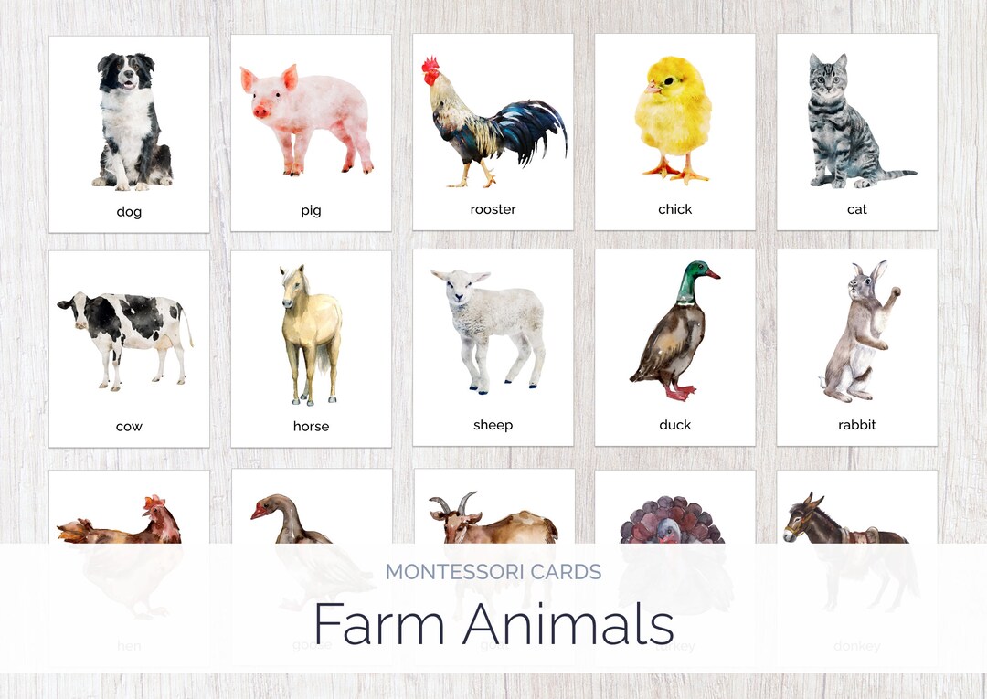 Farm Animals | Montessori Cards | Biology Montessori | Homeschool - Etsy