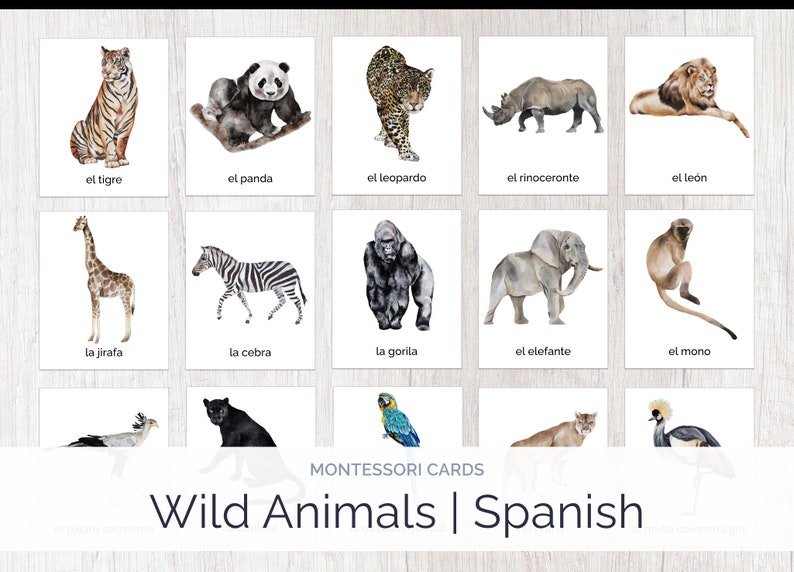 Wild Animals | Spanish Montessori Cards | Safari Animals | Montessori ...