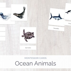 Ocean Animals Montessori Cards Montessori Education Homeschool - Etsy