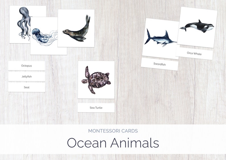 Ocean Animals | Montessori Cards | Montessori Education | Homeschool - Etsy