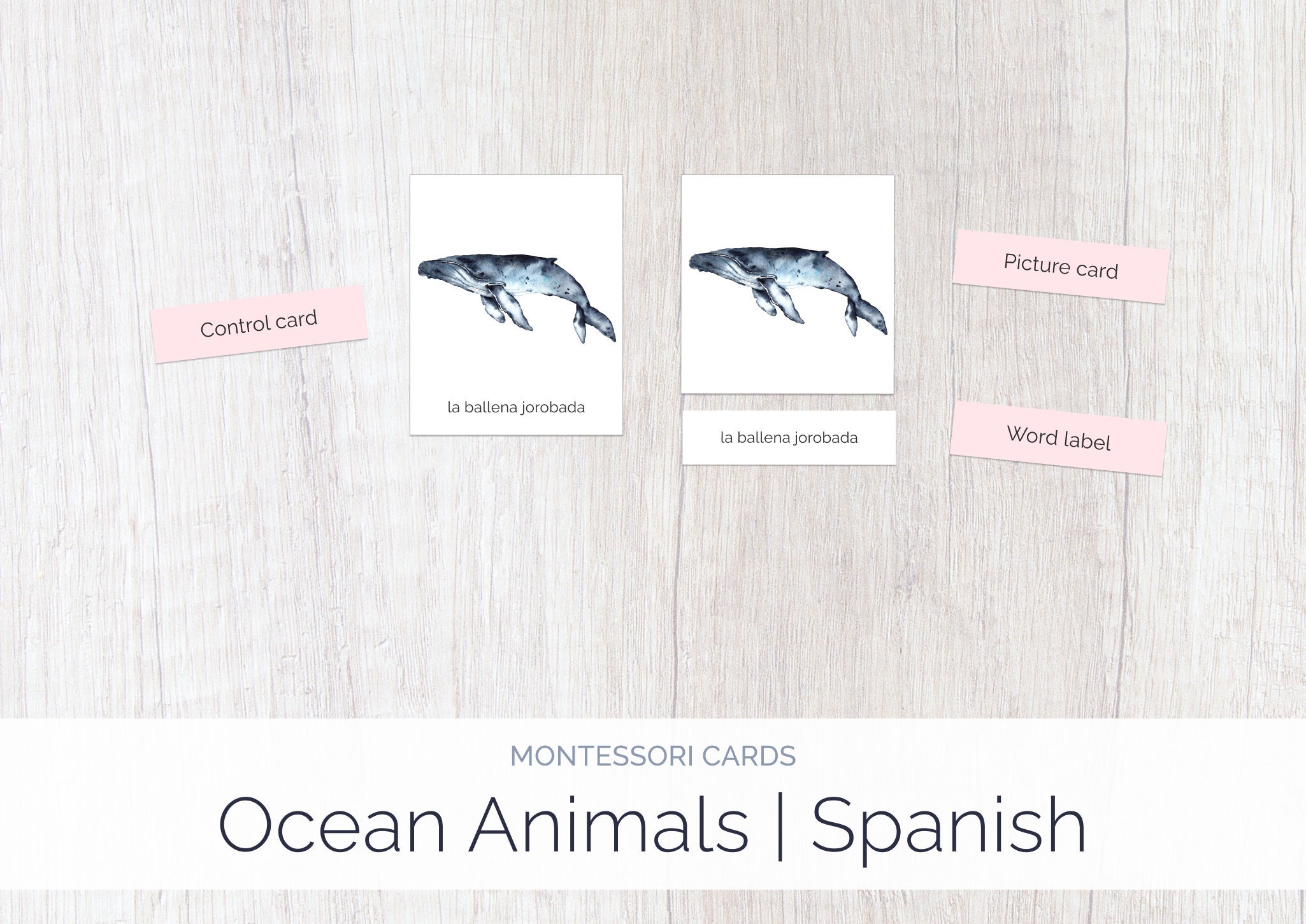 Ocean Animals | Spanish | Montessori Cards | Montessori Education ...