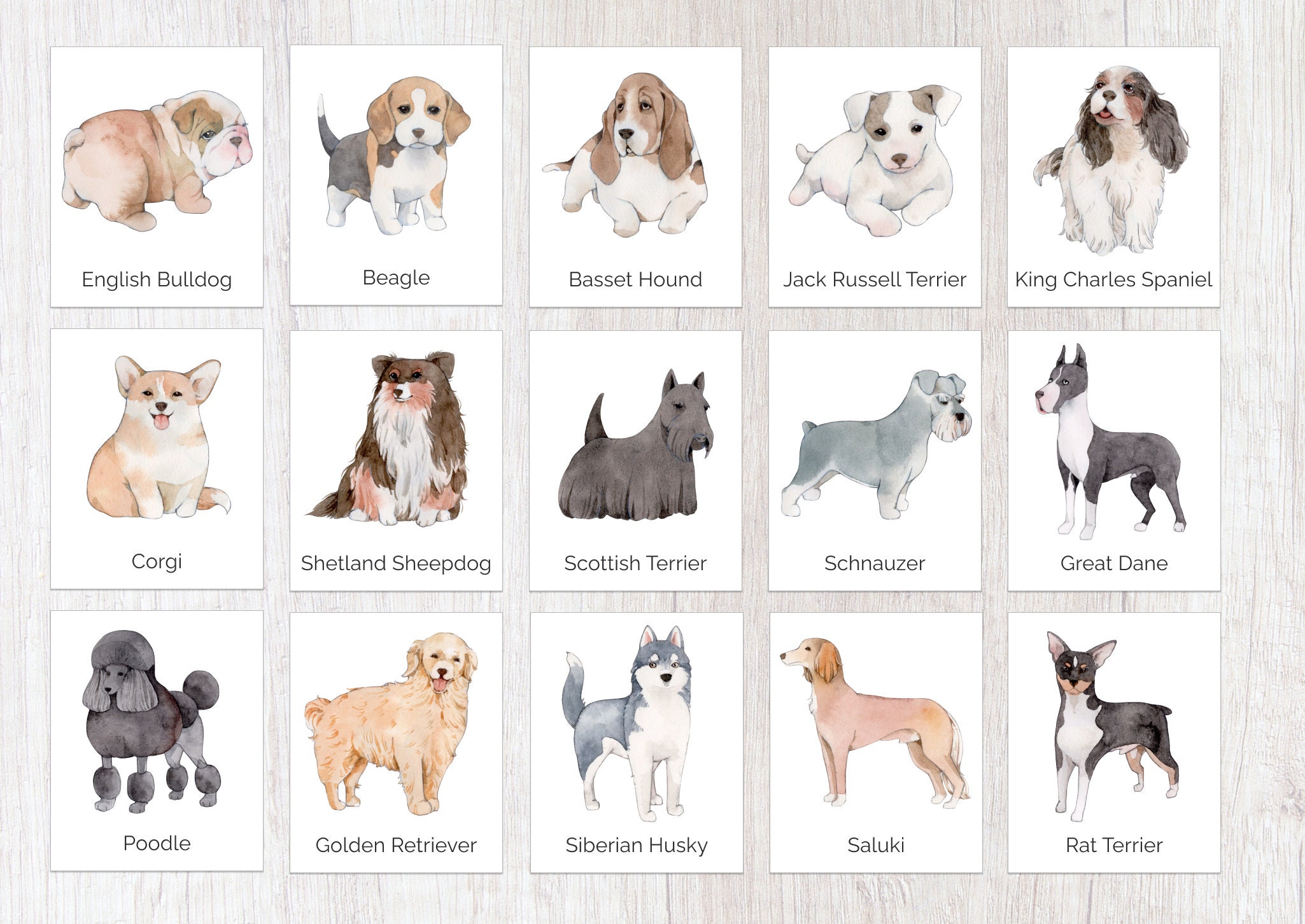 Dogs | Montessori Cards | Montessori Education | Homeschool - Etsy