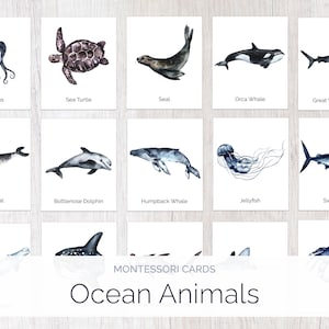 Ocean Animals | Montessori Cards | Montessori Education | Homeschool - Etsy