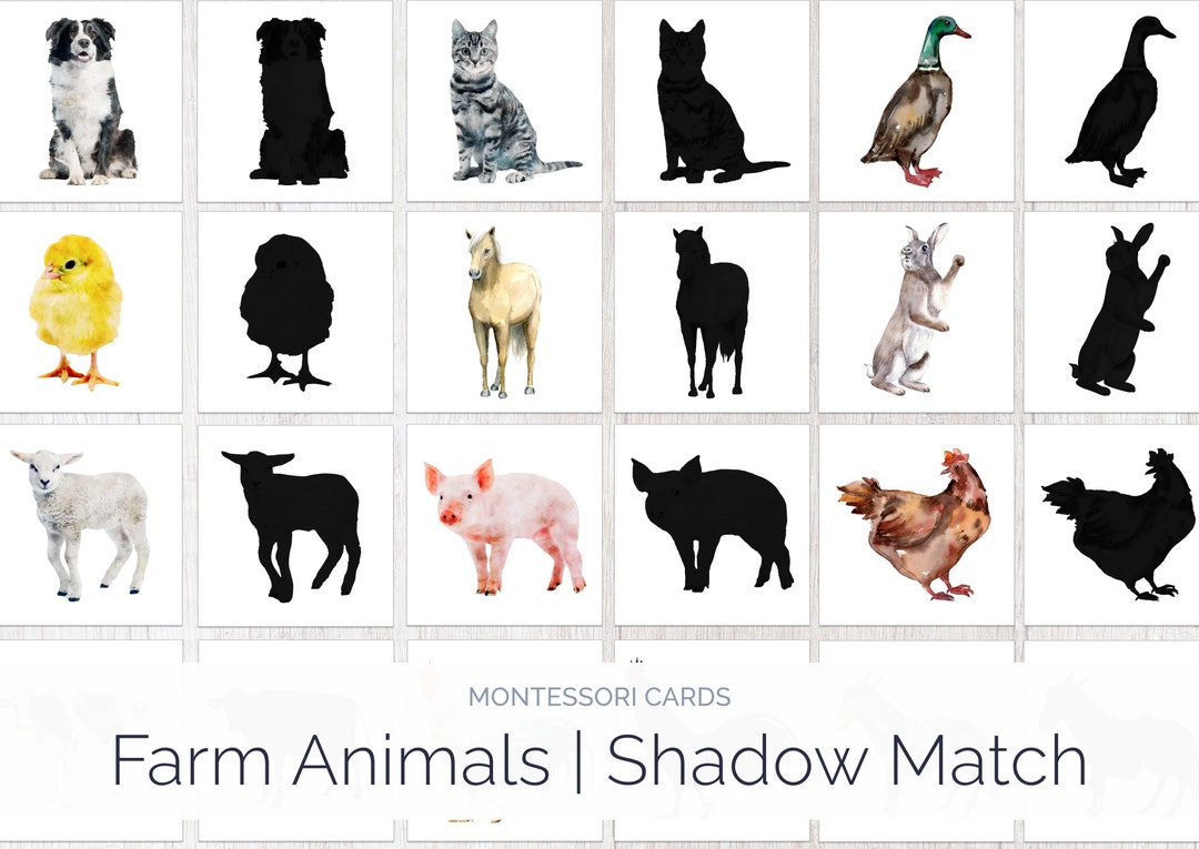 Farm Animals | Montessori Shadow Matching Cards | Montessori Toys ...
