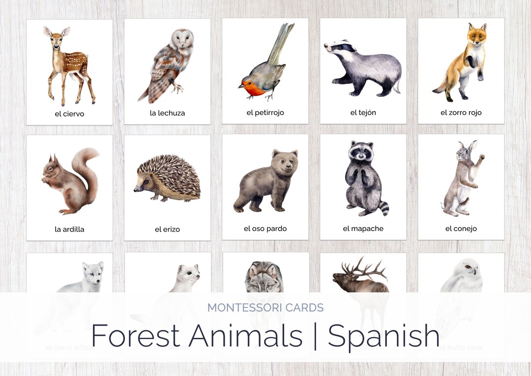 Spanish Woodland Animals Montessori Cards (PDF Pattern) - Etsy
