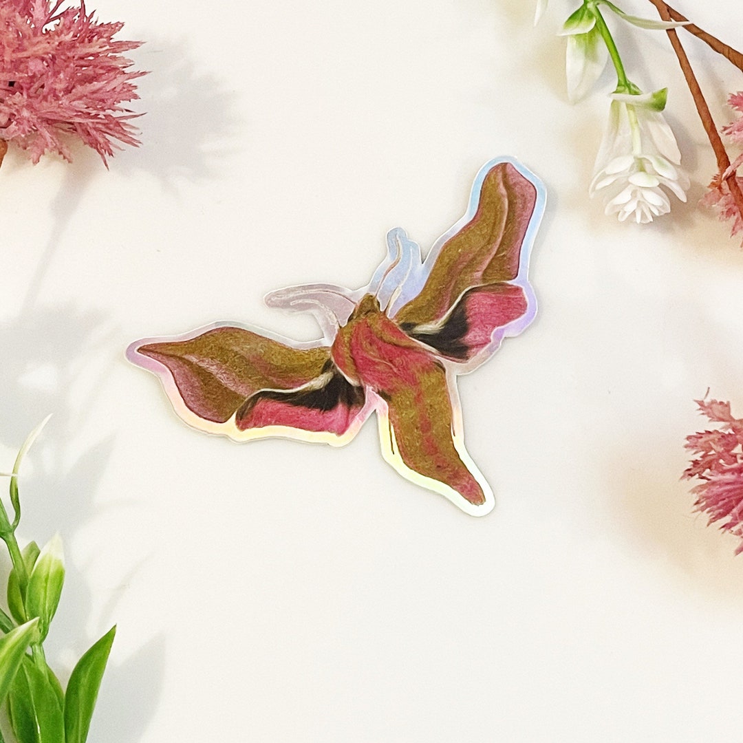 Trippy Elephant Hawk Moth Vinyl Sticker Decal • Pink Moth Sticker ...