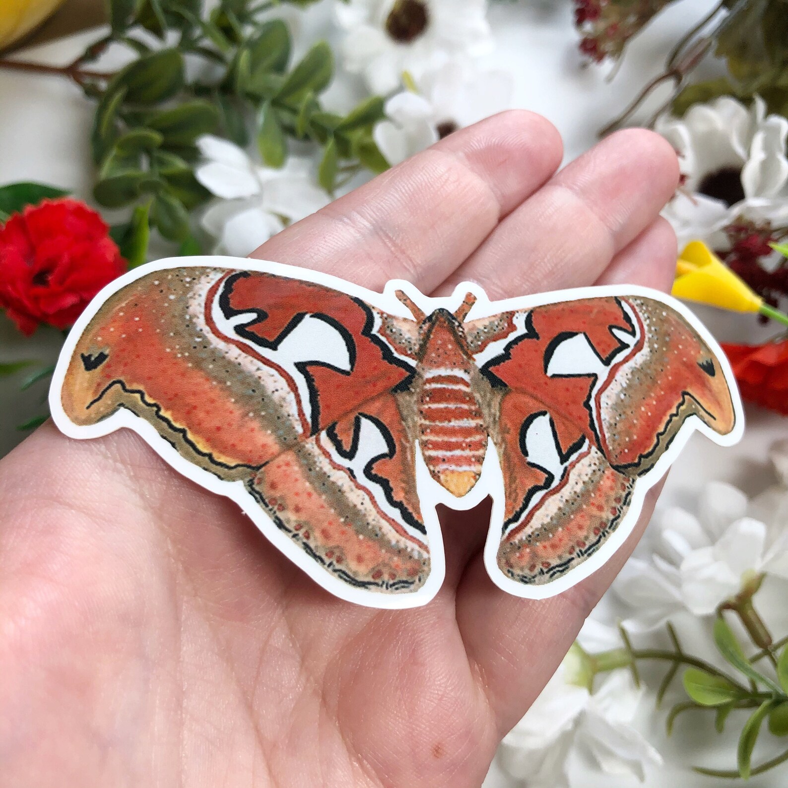 Atlas Moth Vinyl Sticker Decal Moth Sticker Laptop Decal - Etsy