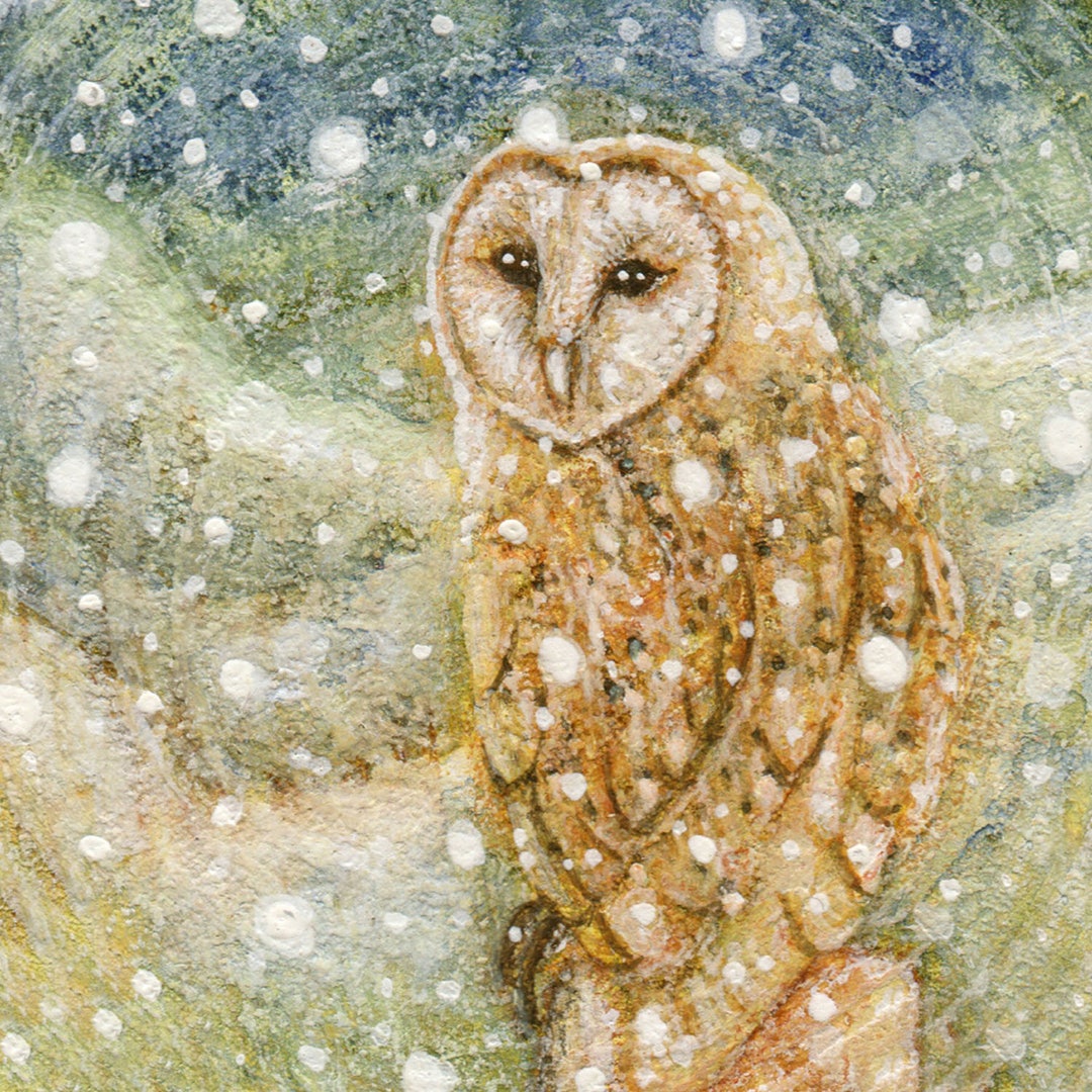 Owl Greetings Card Barn Owl Snow Owl Owl in the Snow - Etsy
