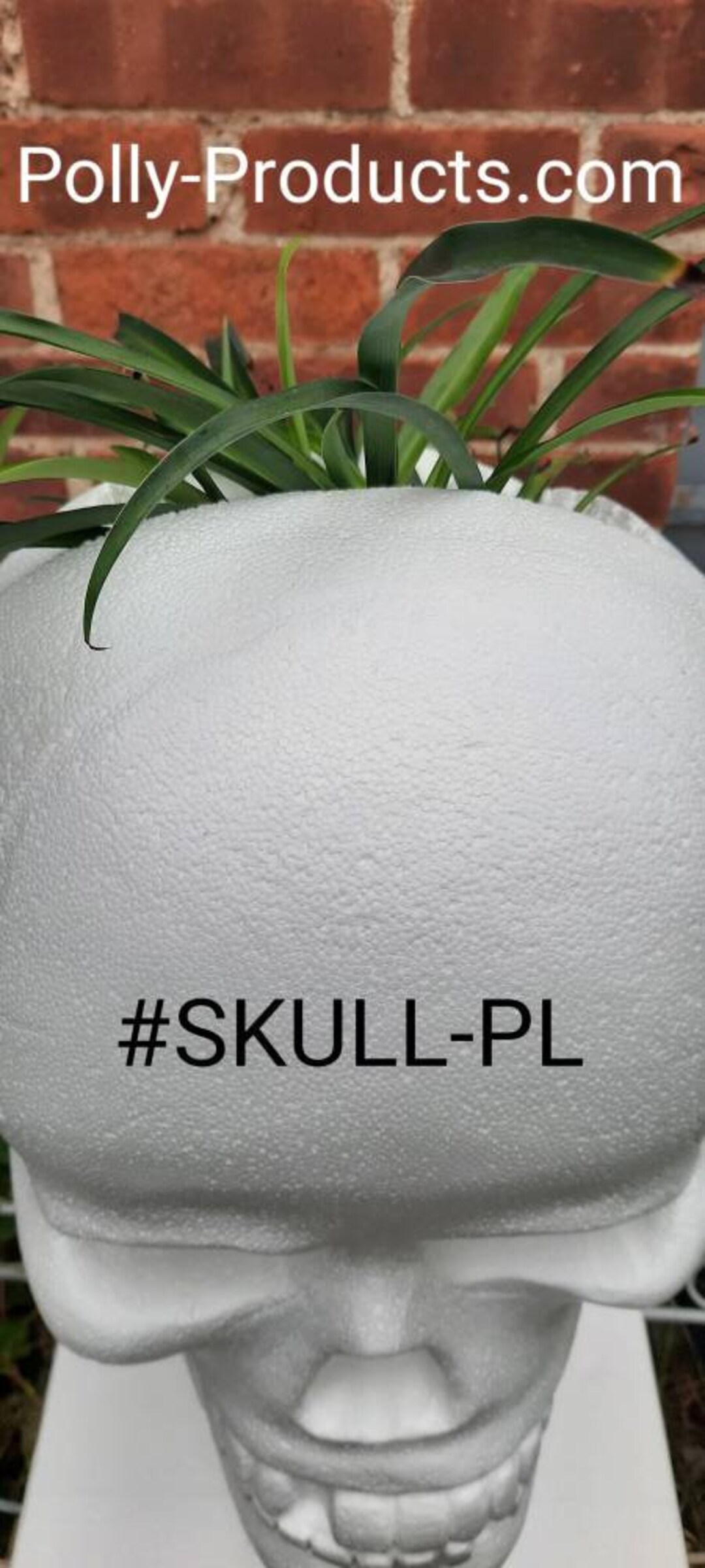 Mega Skull Planter: 20" Wall Mount Prop - USA Made Polly Products - Etsy