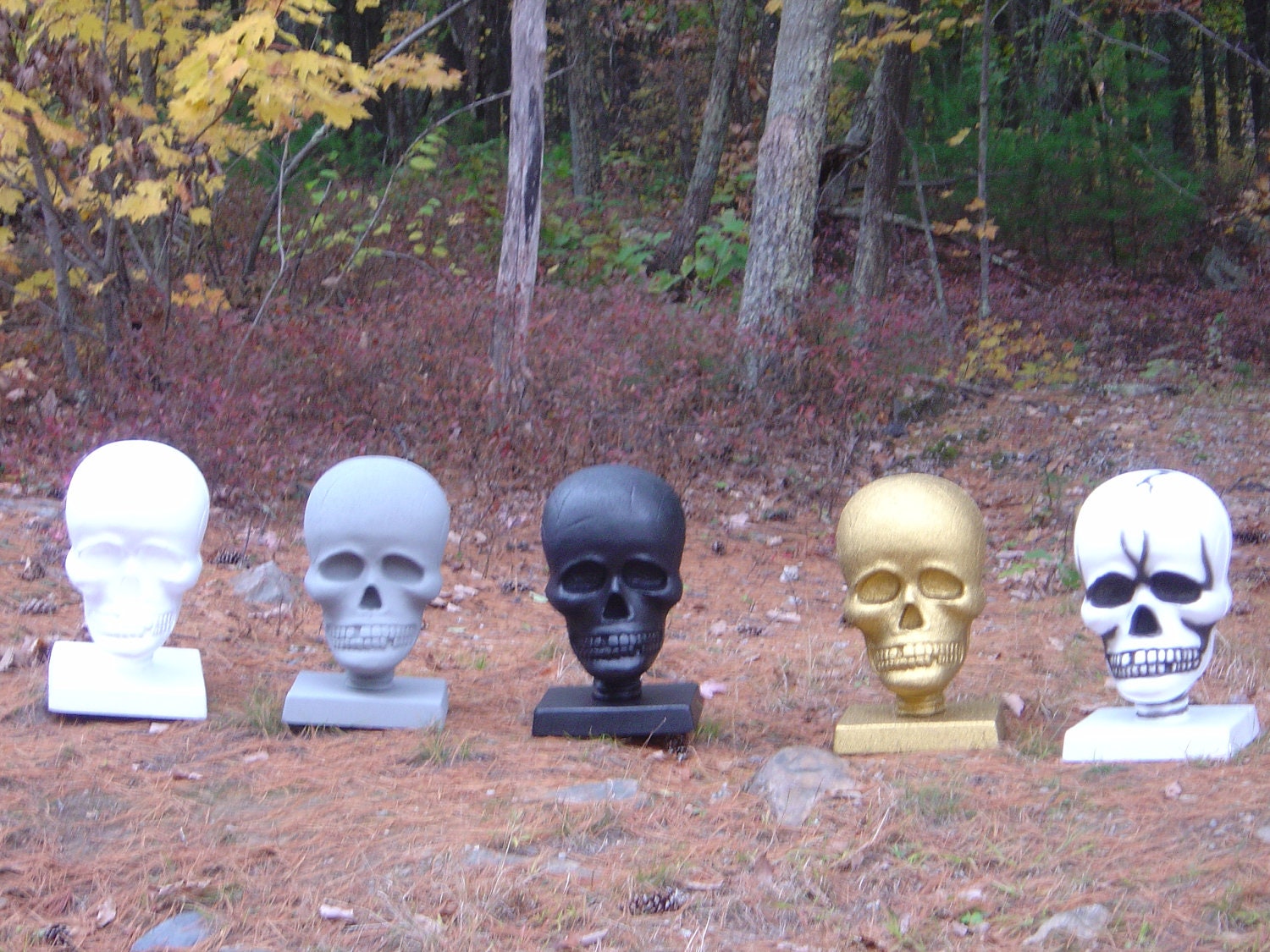 Cryptics Tm Science/anatomy/big Foot Color-coated Tm Mega SKULL Tm Wall ...