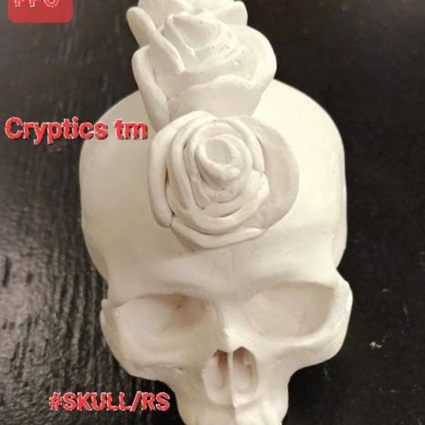 SKULLH 8 Plaster Solid 8lb. Skull. Made in the USA Prop-centerpiece ...