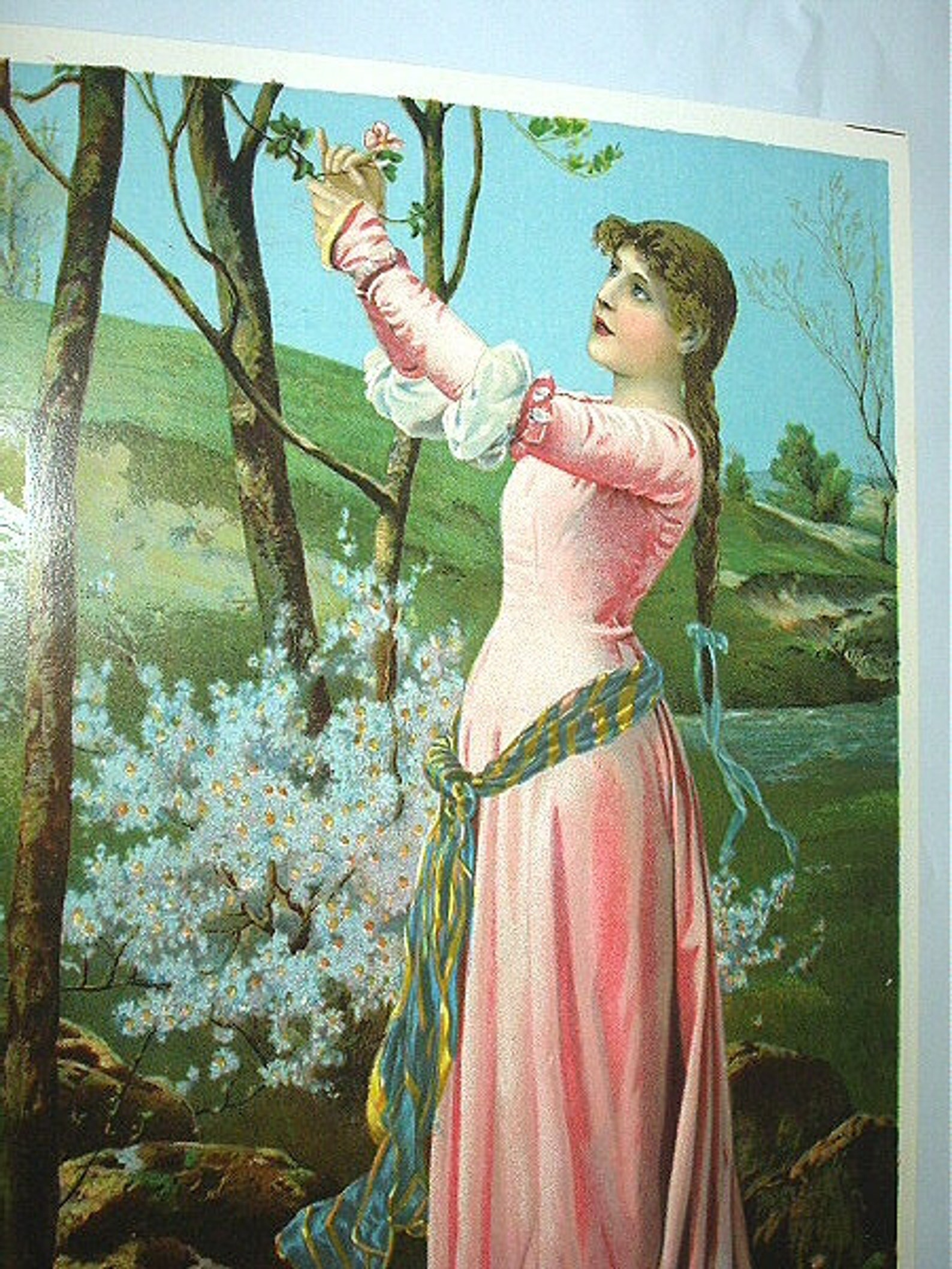 Victorian Lady in Pink Gown Gathering Flowers Original Antique ...