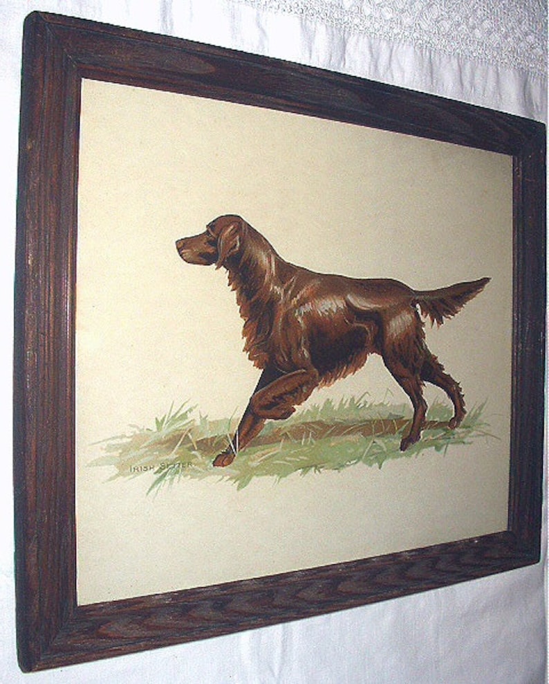 Irish Red Setter Circa 1904 Original Taber Prang Art Company | Etsy