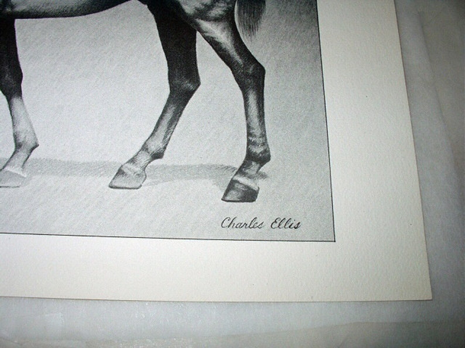 Arabian Horse Artist Charles Ellis Signed Original 1948 Vintage Quality ...